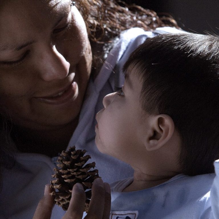 Our Programs - Native American Professional Parent Resources