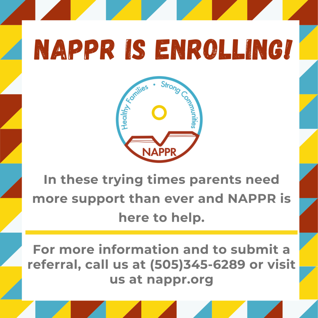 NAPPR Highlights Archives - Native American Professional Parent Resources